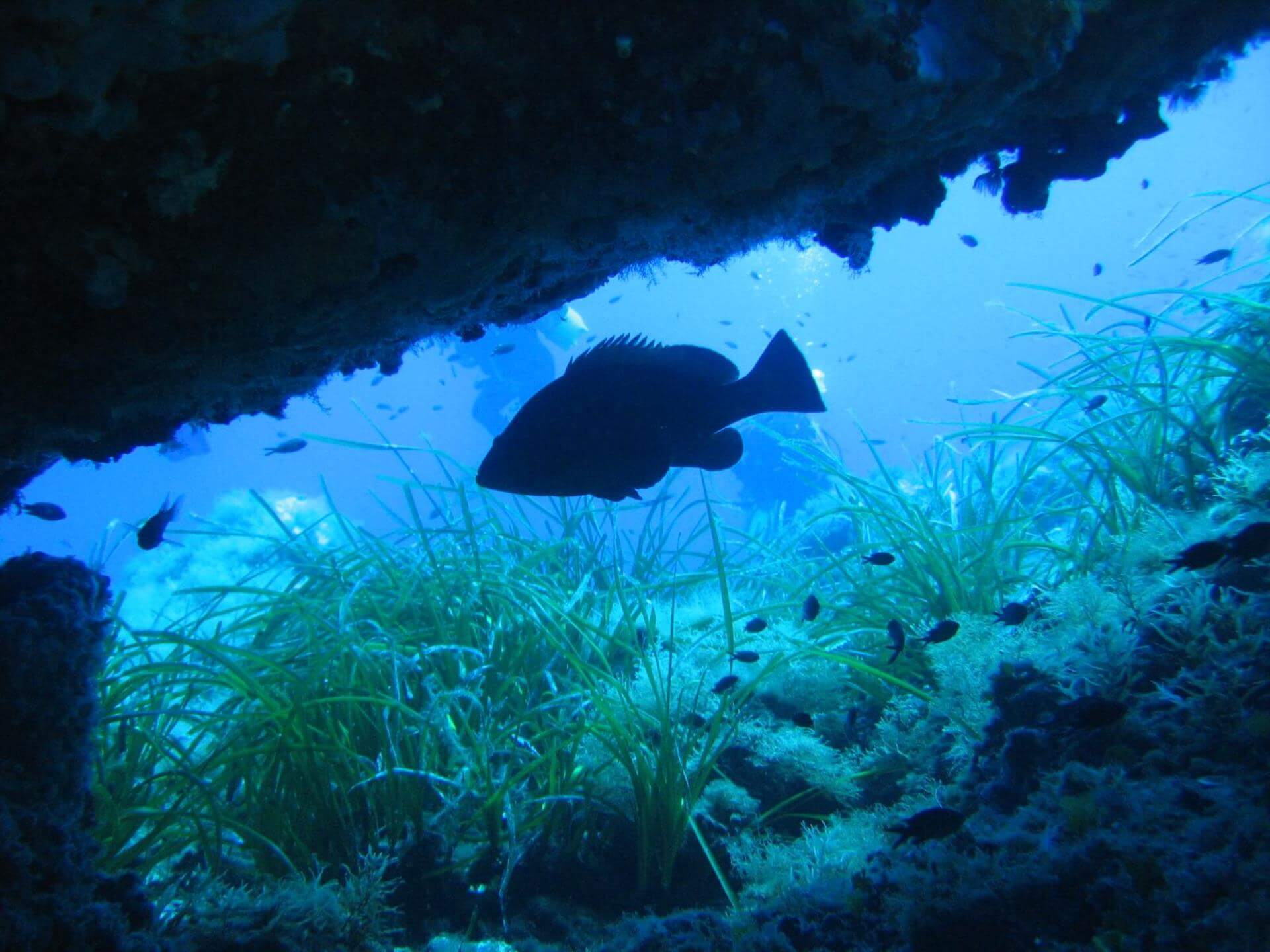 Special offer May 2023