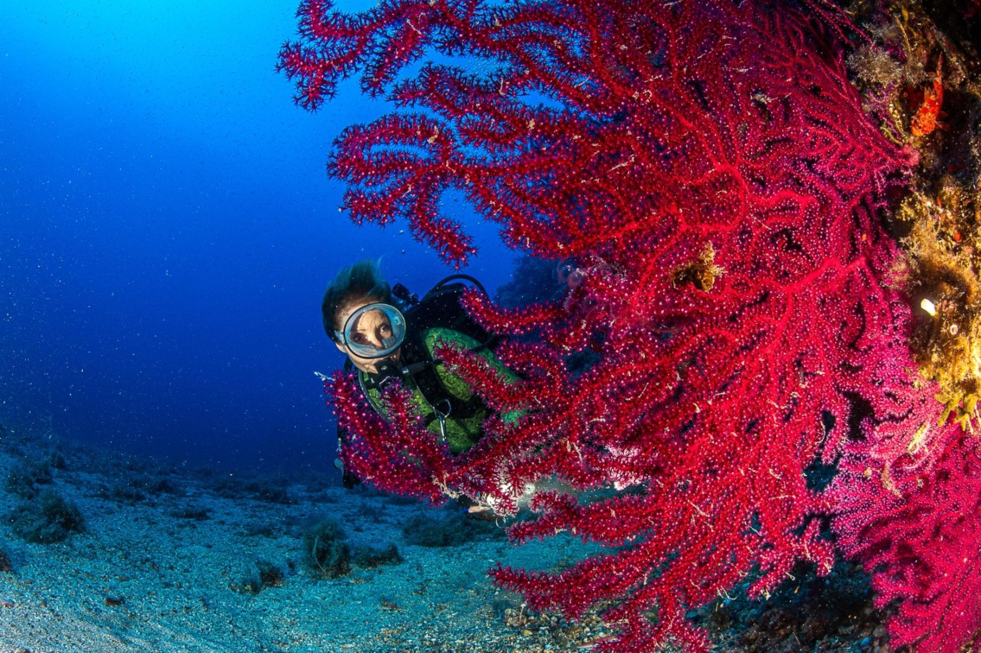 PADI Deep Diver specialty | Orca Diving Ustica