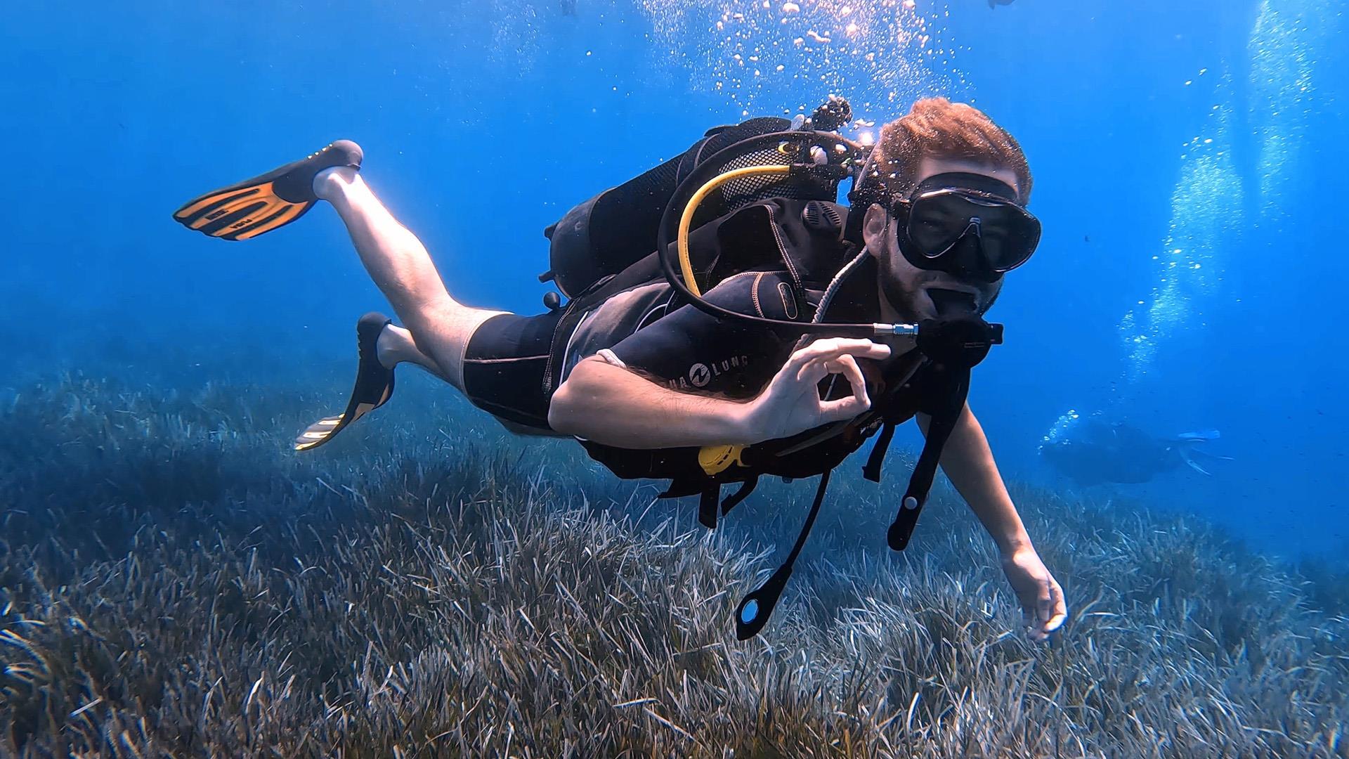 PADI Open Water Diver | Orca Diving Ustica